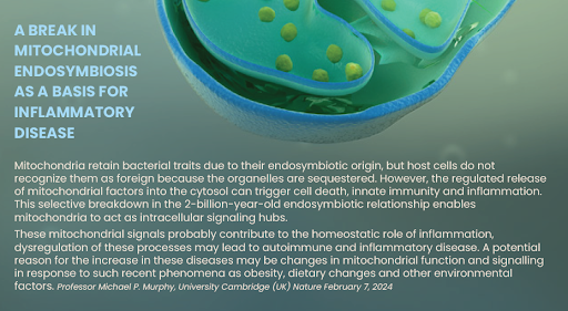 Peripheral Neuropathy & Nerve Treatment Las Vegas, NV - Eternity Medicine
